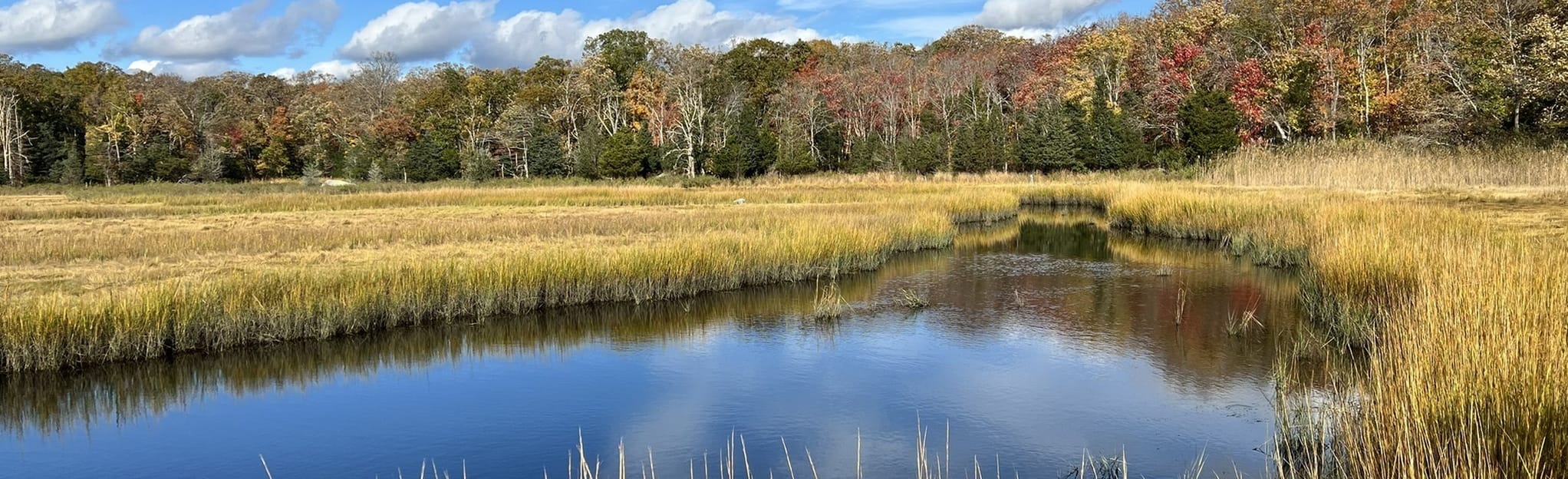Touisset Marsh Wildlife Refuge, Rhode Island - 221 Reviews, Map | AllTrails