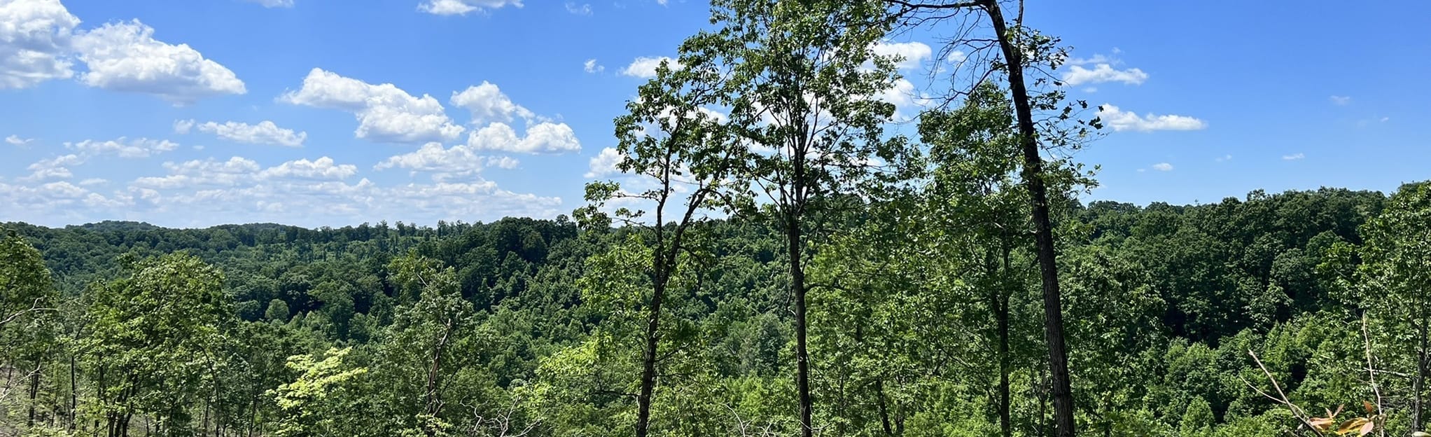 Shawnee Backpacking Trail South Loop, Ohio - 101 Reviews, Map | AllTrails