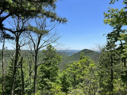 10 Best Hikes and Trails in Michaux State Forest | AllTrails