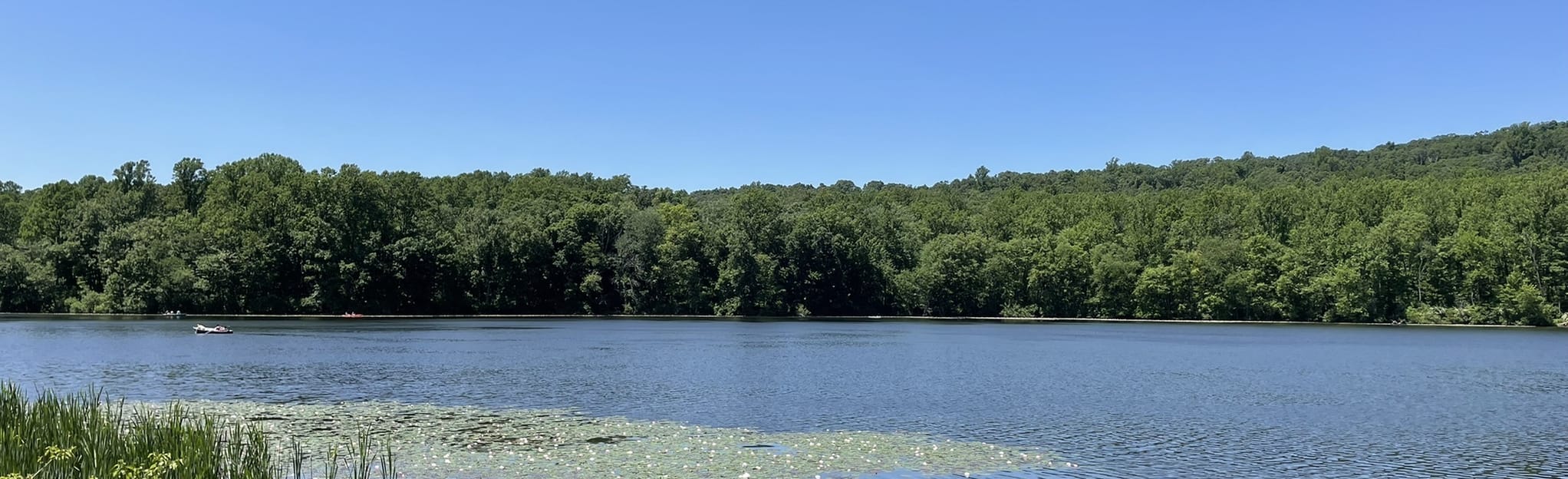 Boone Trail Loop, Pennsylvania - 887 Reviews, Map | AllTrails