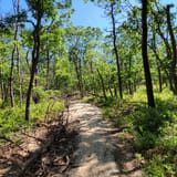 Paumanok Path, New York - 126 Reviews, Map | AllTrails