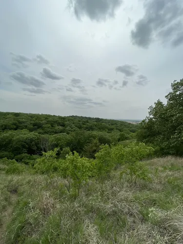 Best Views Trails in Stone State Park | AllTrails