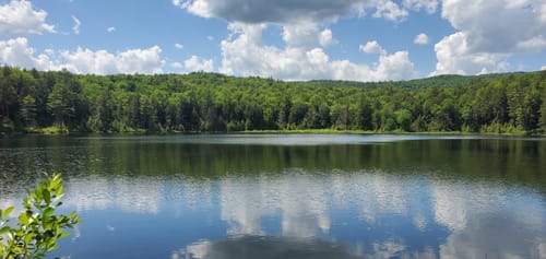 Best Hikes and Trails in Wellington State Park | AllTrails