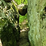 Thunder Ridge via Appalachian Trail, Virginia - 269 Reviews, Map ...