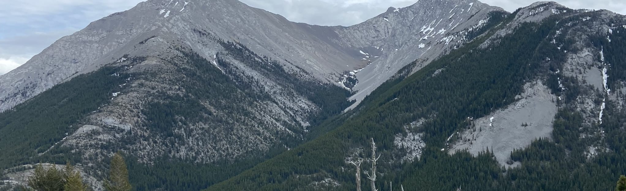 Island Ridge: 19 Reviews, Map - Alberta, Canada | AllTrails