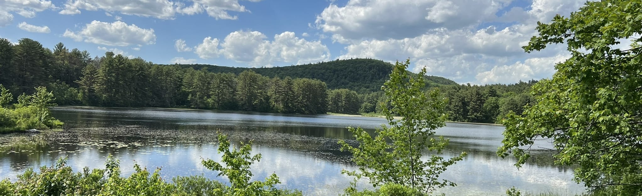 Pottapaug Hill and Indian Kitchen via Hell Huddle: 52 Reviews, Map ...