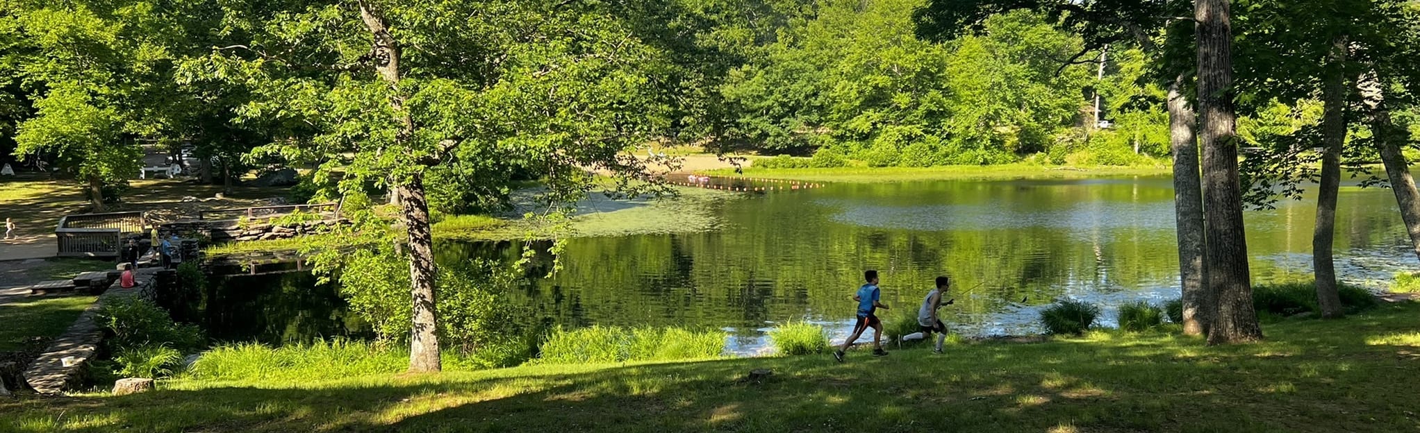 Day Pond to Salmon River Trail, Connecticut - 87 Reviews, Map | AllTrails