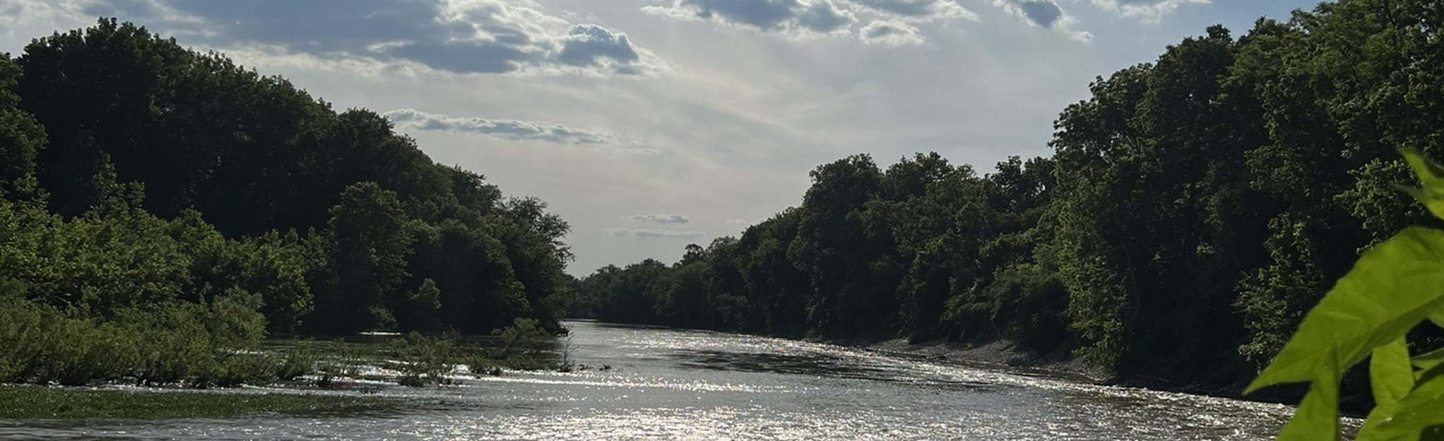 Bass Island and Little Miami River Loop: 28 Reviews, Map - Ohio | AllTrails