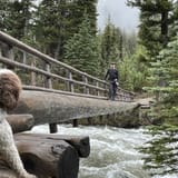 Wallowa River Loop Trail, Oregon - 186 Reviews, Map | AllTrails