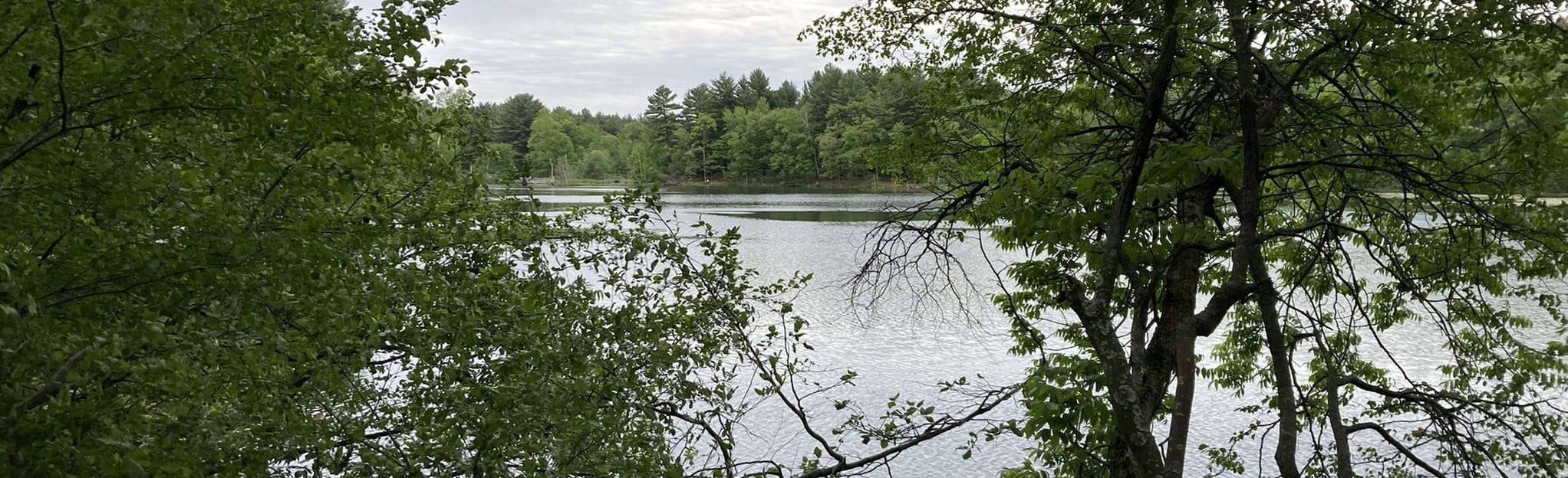 Allen Lake Loop: 207 Reviews, Map - Wisconsin | AllTrails