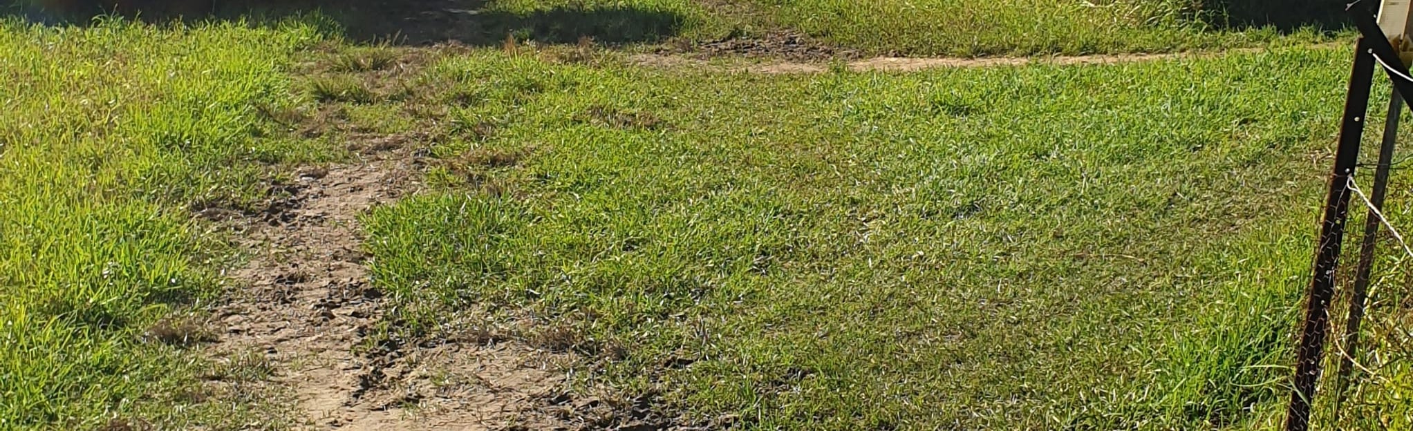 Curl Curl Beach: 35 foto's - New South Wales, Australia | AllTrails