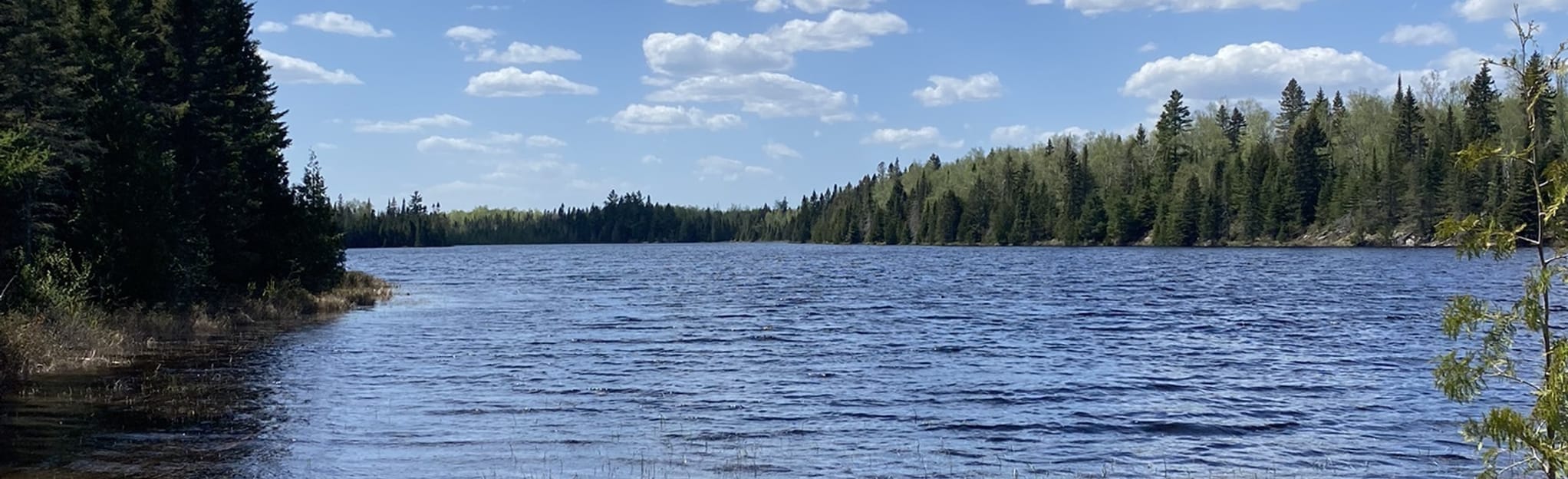 Sonju Lake via Superior Hiking Trail: 28 Reviews, Map - Minnesota ...