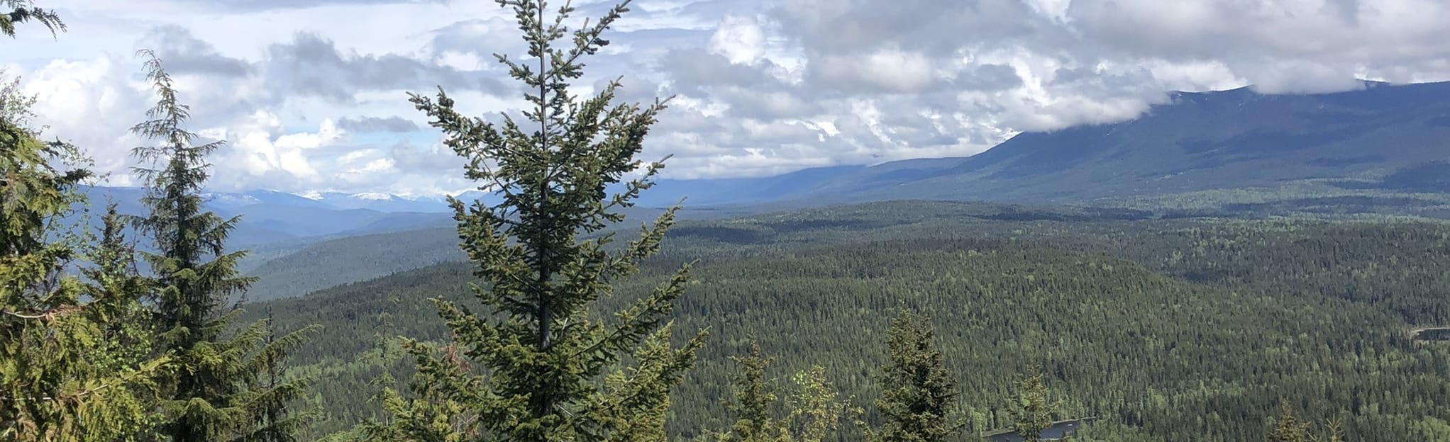 Pyramid Mountain | Map, Guide - British Columbia, Canada | AllTrails