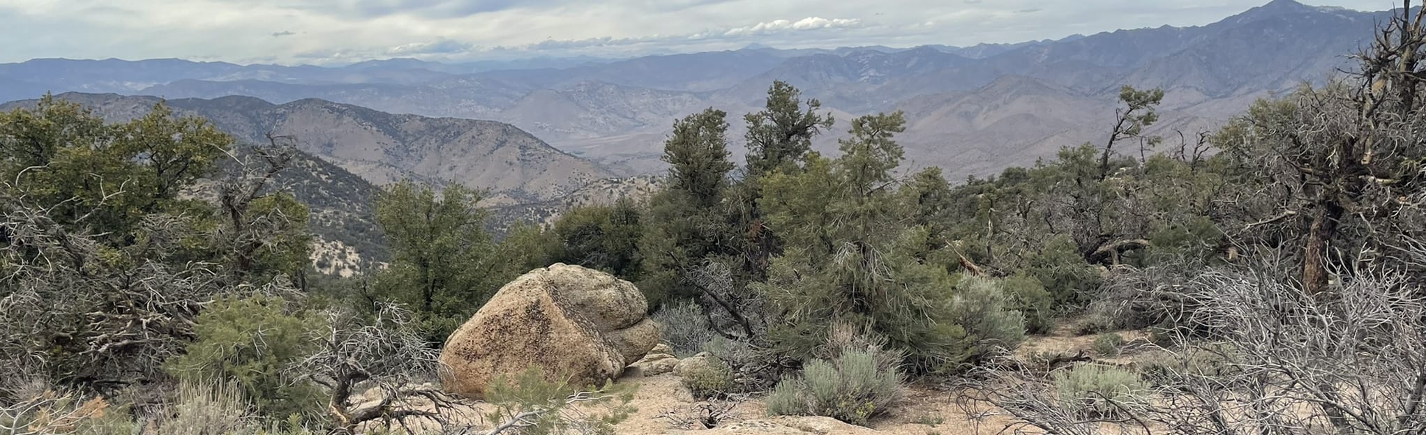 Scodie Mountain, California - 56 Reviews, Map | AllTrails
