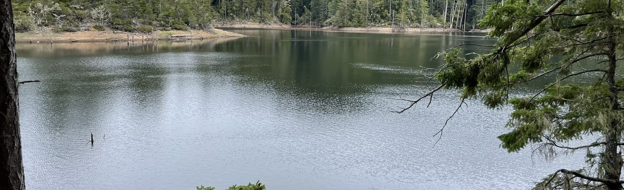 Cross Marin Trail to Kent Lake, California - 73 Reviews, Map | AllTrails