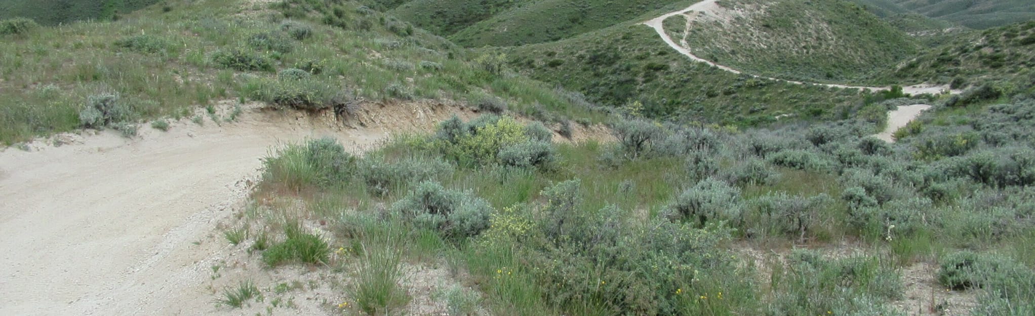 Blacks Creek Loop via Three Point Mountain Trailhead: 5 Reviews, Map ...