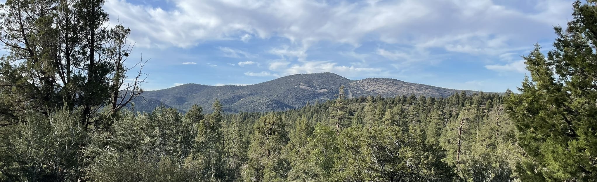 Sawmill Pebble Plains via Klamath Trail, California - 58 Reviews, Map ...