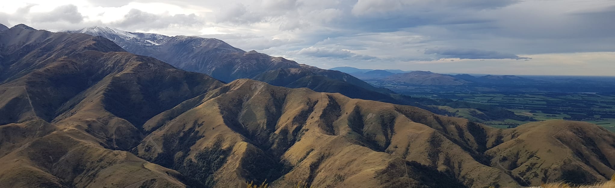 Mt Alford Track, Canterbury, New Zealand - 51 Reviews, Map | AllTrails