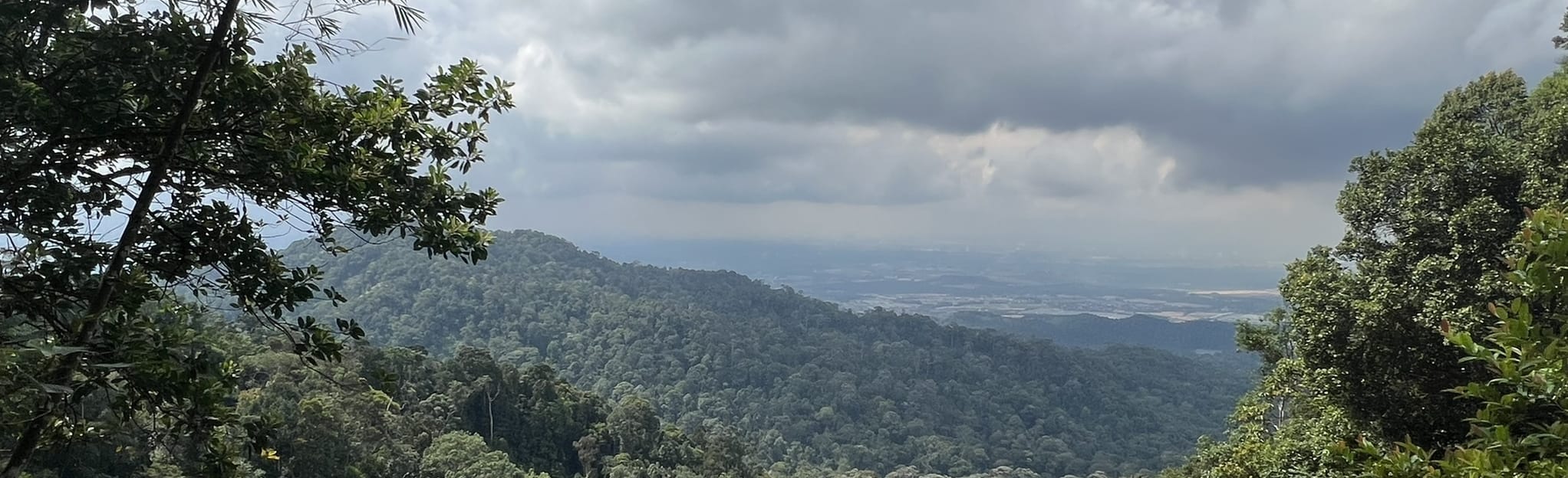 Gunung Pulai Outer Loop, Johor, Malaysia - 13 Reviews, Map | AllTrails