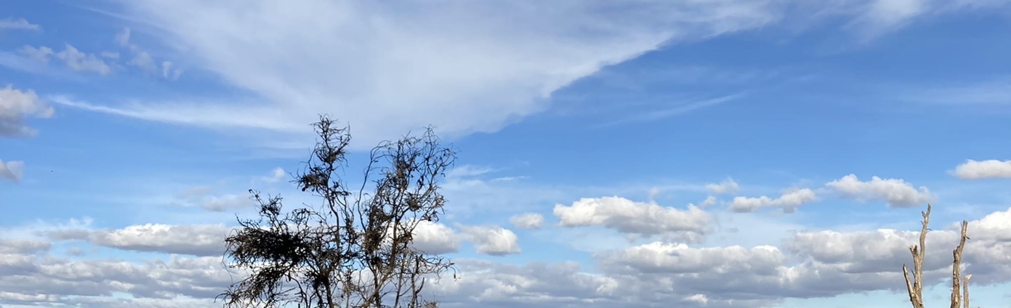 Neerabup Nature Reserve: 21 Reviews, Map - Western Australia, Australia ...