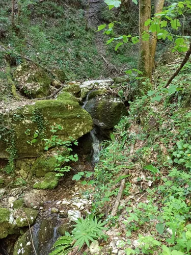 Best Hikes and Trails in Parco Regionale Monte Pennino - Scurosa ...