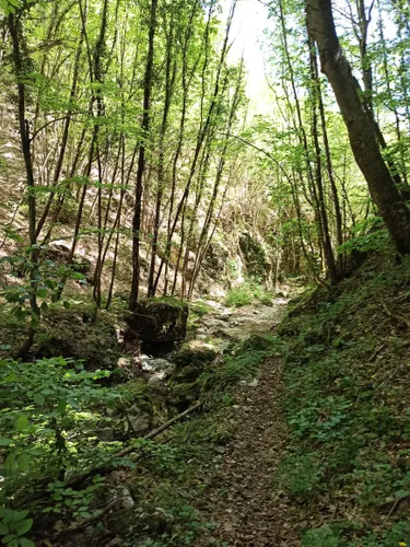 Best Hikes and Trails in Parco Regionale Monte Pennino - Scurosa ...