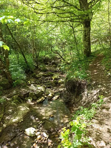Best Hikes and Trails in Parco Regionale Monte Pennino - Scurosa ...