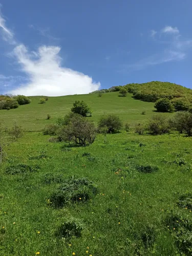 Best Hikes and Trails in Parco Regionale Monte Pennino - Scurosa ...