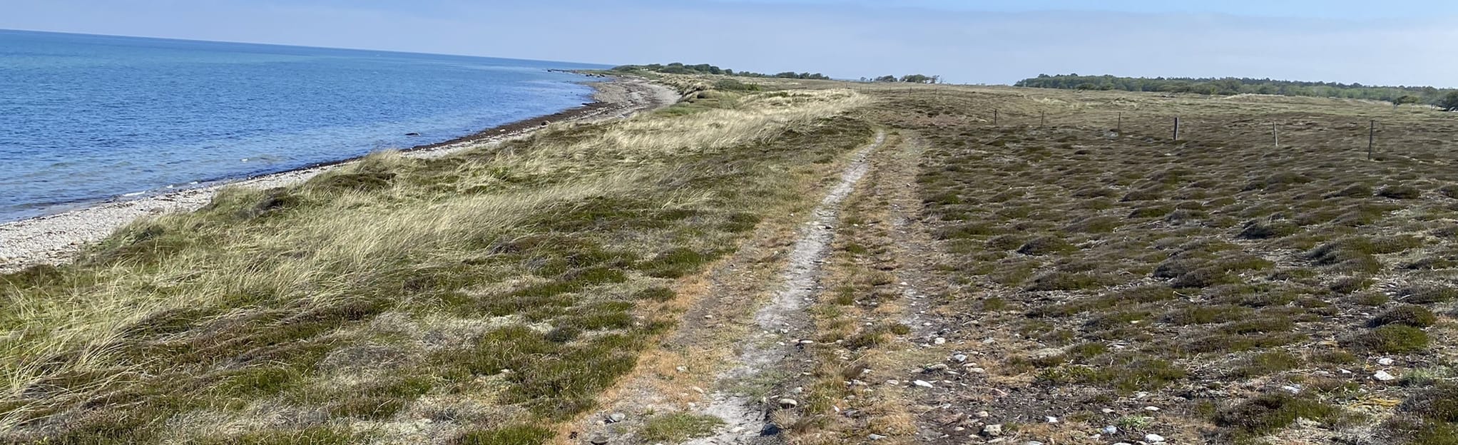 Læsø Rundt på MTB, North Denmark, Denmark - 6 Reviews, Map | AllTrails