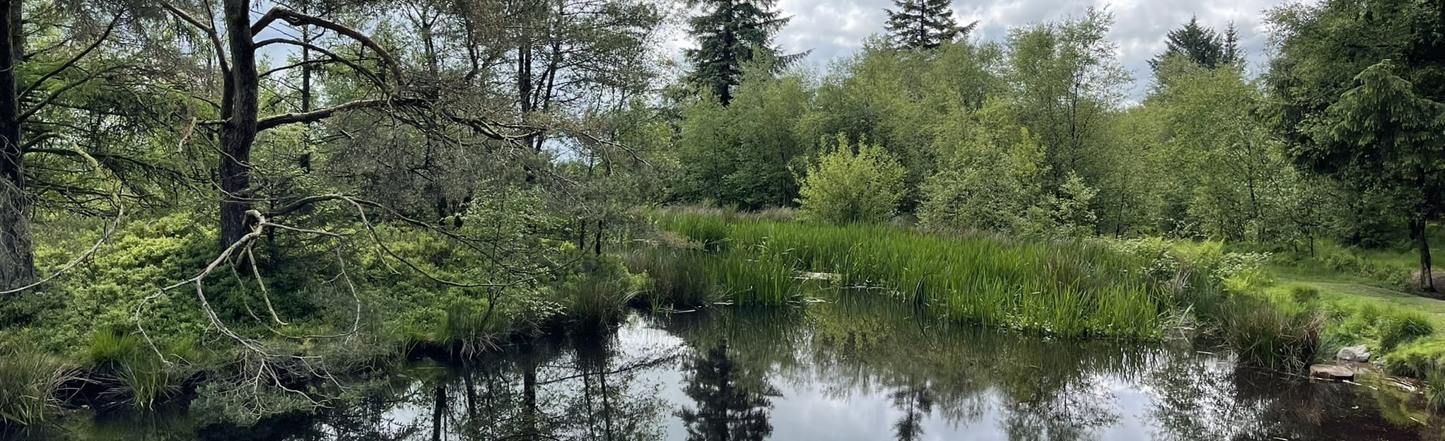 Beacon Fell Country Park Circular - Lancashire, England | AllTrails