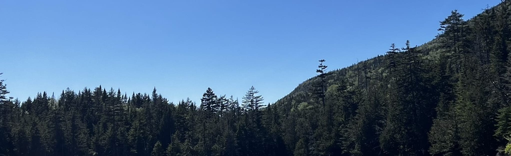 Mount Colden and Skylight via Upper Works Trailhead, New York - 6 ...