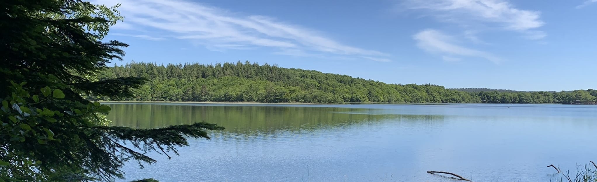 Vesterskov og Almind Sø MTB Rute, Central Denmark, Denmark - 4 Reviews ...