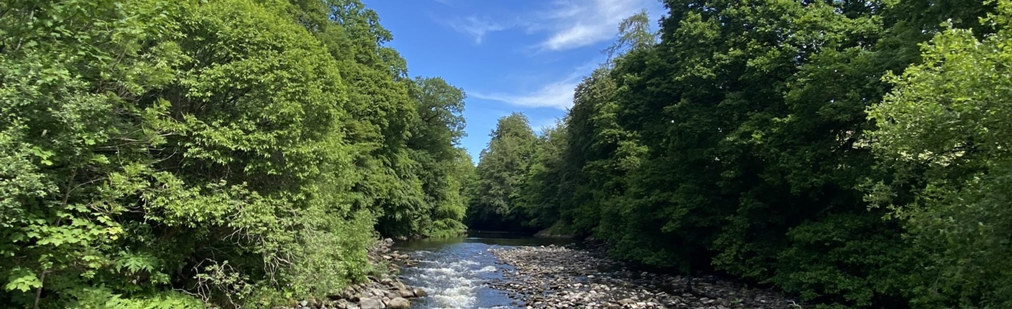 Bridge of Allan and Dunblane Circular: 16 Reviews, Map - Stirling ...