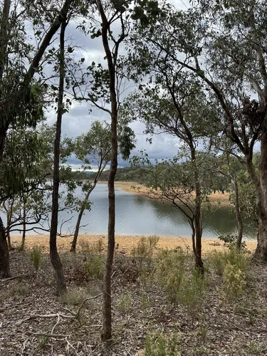 10 Best Trails and Hikes in Victoria | AllTrails