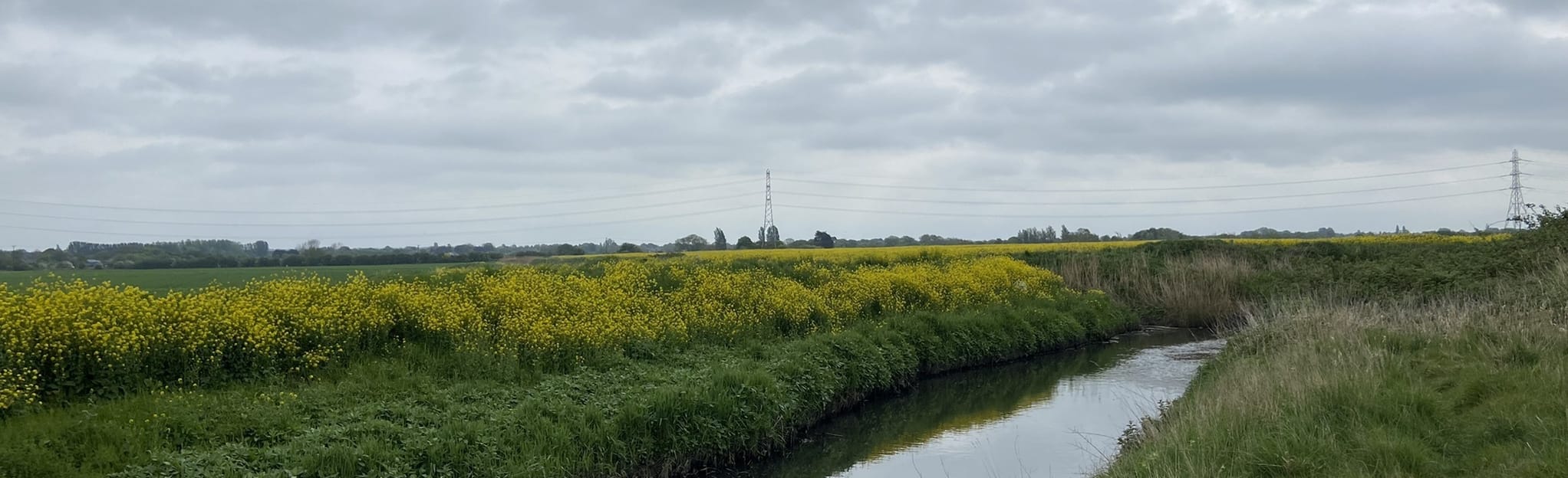 Kennessee Green - River Alt | AllTrails