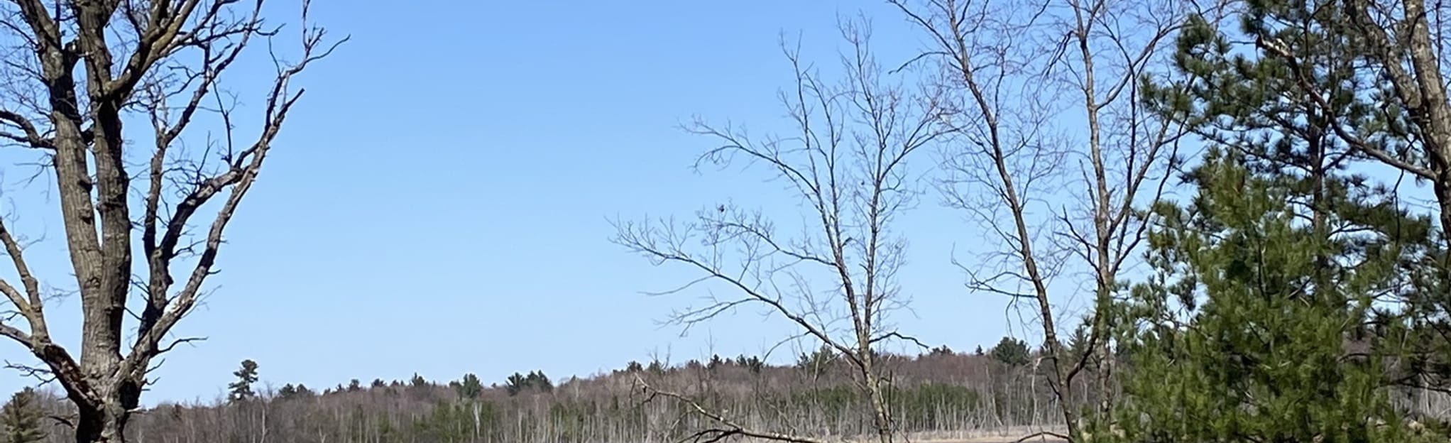 Navarino Nature Center Loop Trail, Wisconsin - 138 Reviews, Map | AllTrails