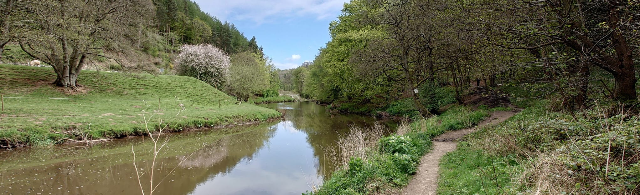 Limber Hill Wood and Glaisdale CIrcular: 170 Fotos - North Yorkshire ...