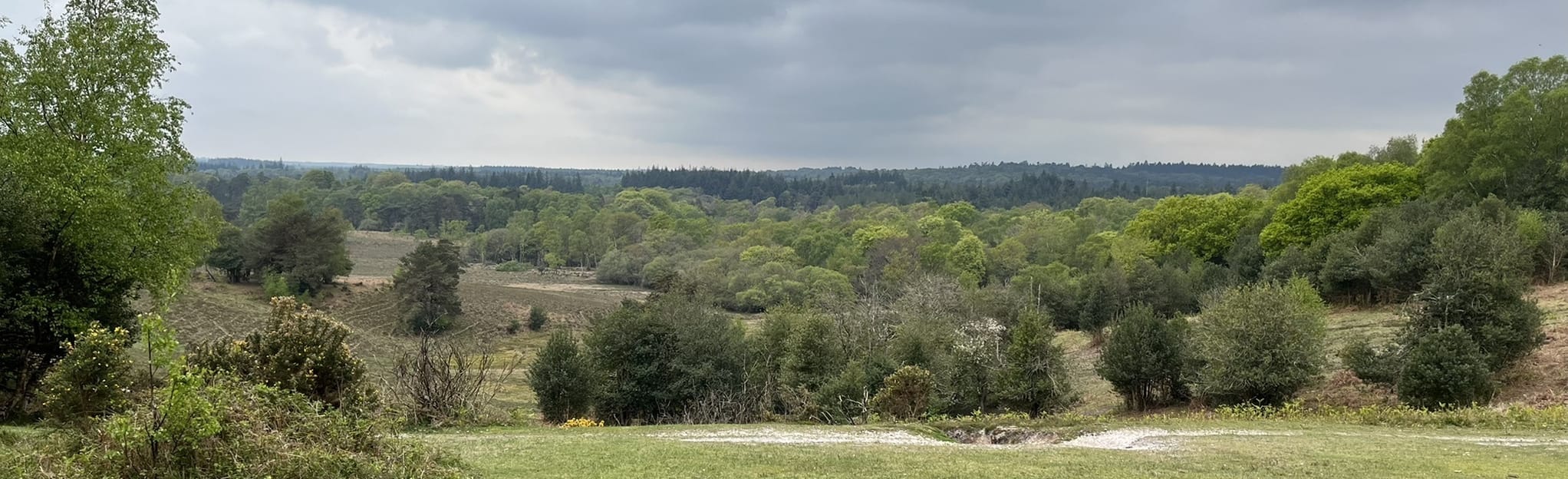 Emery Down and Acres Down Circular, Hampshire, England - 33 Reviews ...