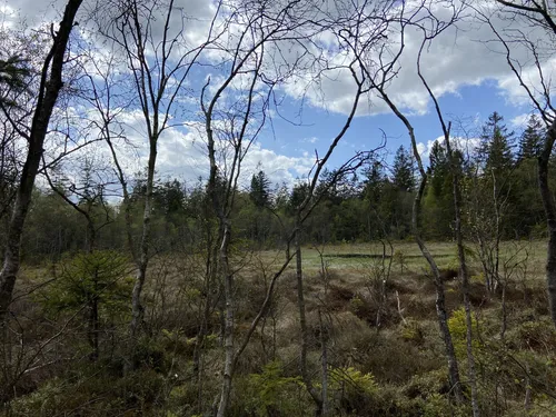 Best Forest Trails in Fulltofta naturreservat | AllTrails