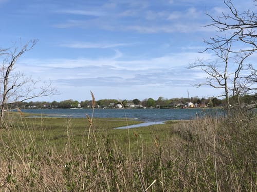 Best Hikes and Trails in Arshamomaque Preserve | AllTrails