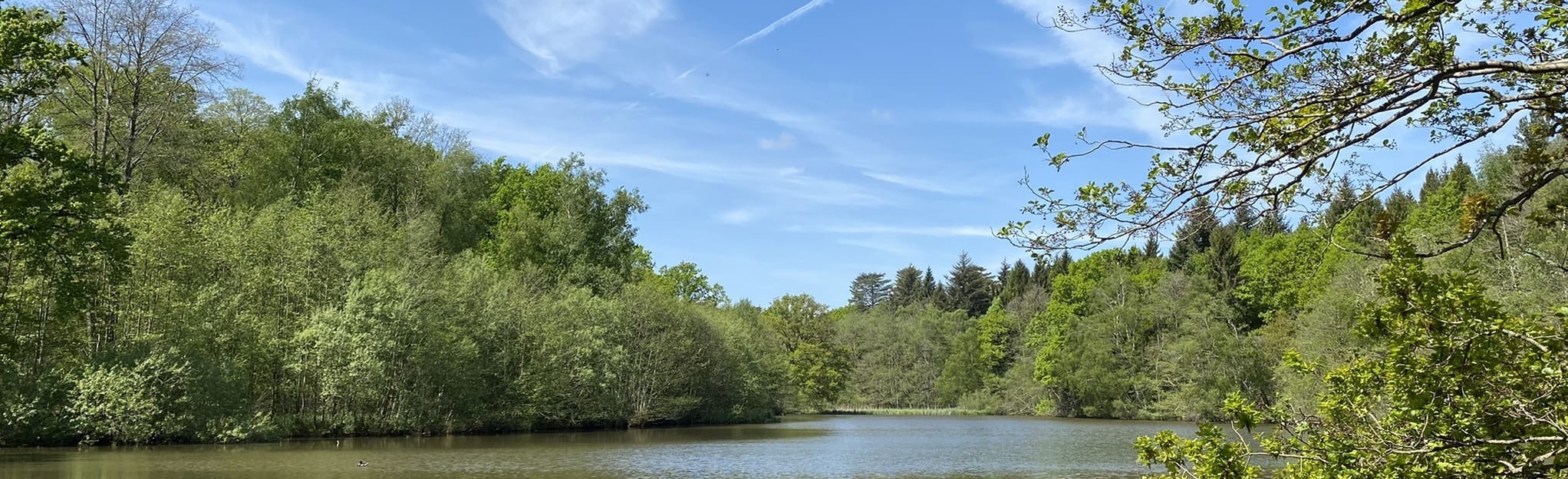 Silchester Roman Town Wall, Pamber Forest and Benyon’s Enclosure: 84 ...