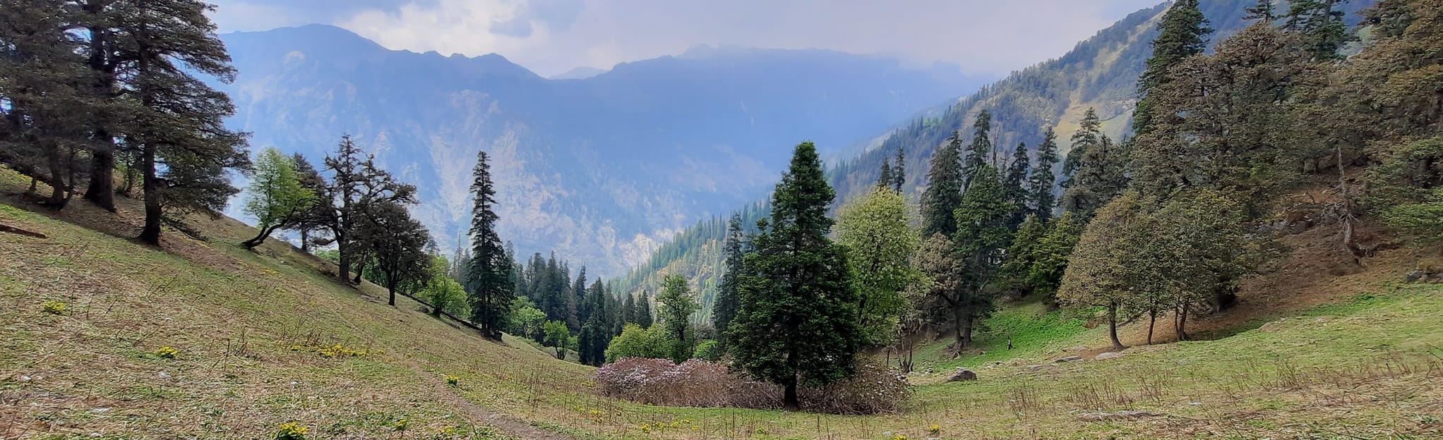 Rasol (Rashol) Pass, Himachal Pradesh, India - 9 Reviews, Map | AllTrails