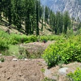 Rasol (Rashol) Pass, Himachal Pradesh, India - 12 Reviews, Map | AllTrails