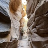 Bull Valley Gorge Trail, Utah - 201 Reviews, Map | AllTrails