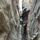 Bull Valley Gorge Trail, Utah - 201 Reviews, Map | AllTrails
