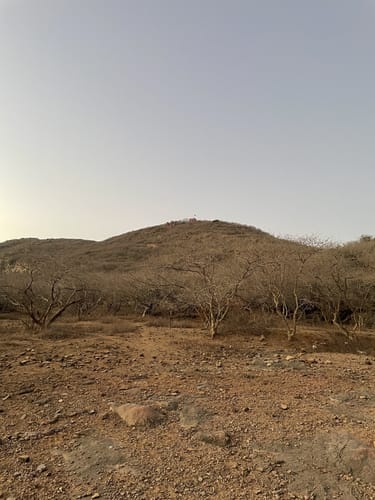 2023 Best Historic Site Trails in Ranavav | AllTrails