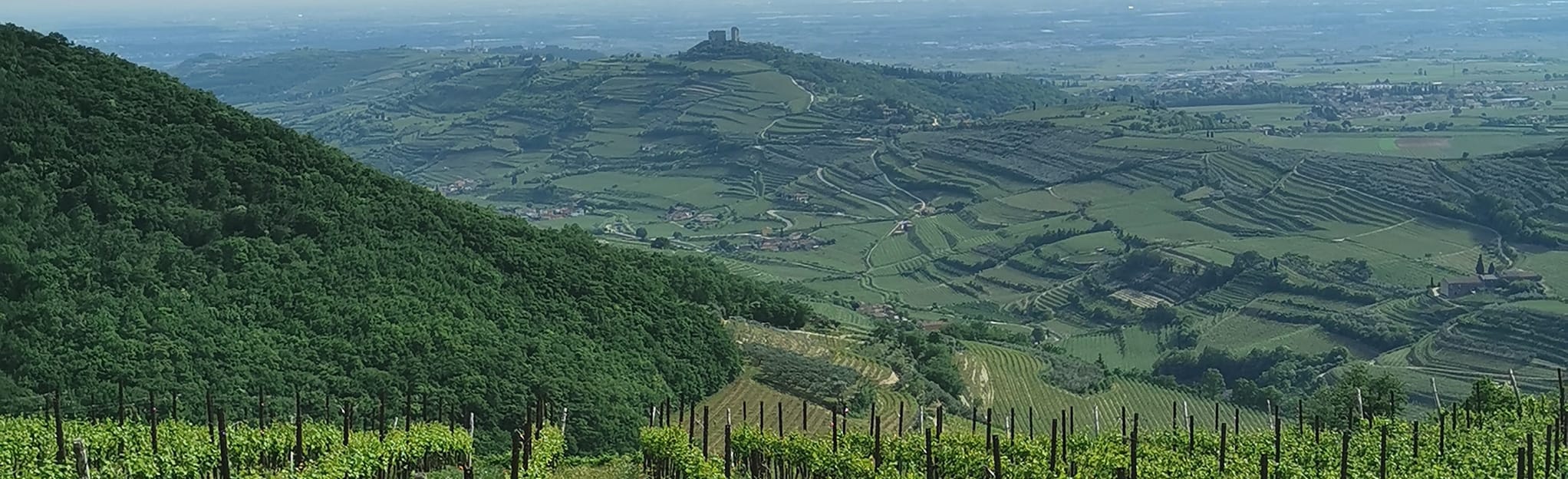 Sentiero della Lana - Campiano: 82 foto - Veneto, Italia | AllTrails