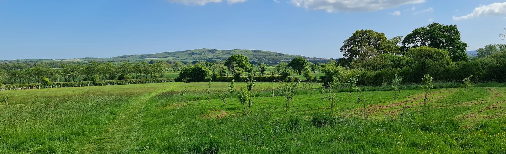 Barcombe Cross, Anchor Inn, and Barcombe Mills Circular, East Sussex ...