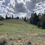 Crystal Springs Loop, Utah - 126 Reviews, Map | AllTrails