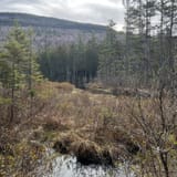 Franconia Brook Trail, New Hampshire - 323 Reviews, Map | AllTrails